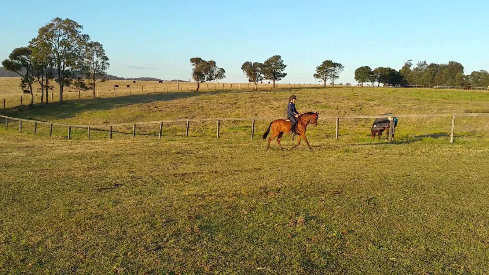 Braefoot Park, Upcoming Events in Victoria on Do250