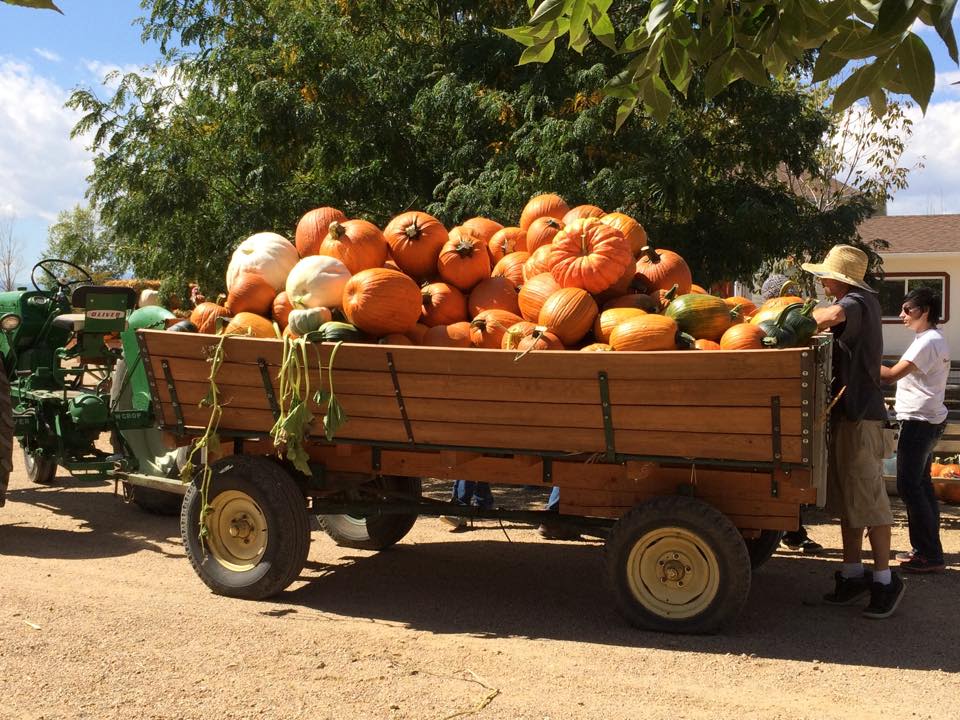 Anderson Farms Upcoming Events In Erie On Do303 anderson-farms-upcoming-events-in-erie-on-do303