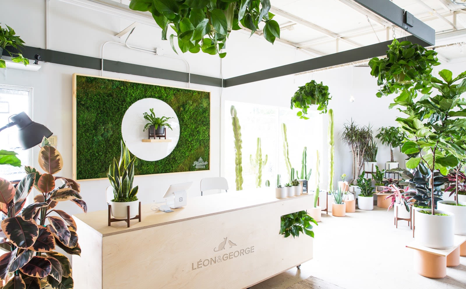 LEON & GEORGE SHOWROOM, Upcoming Events in San Francisco on