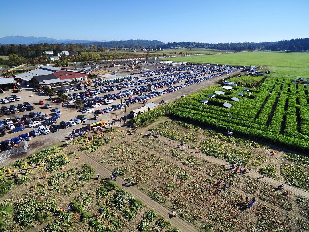 Thomas Family Farms Upcoming Events In Snohomish On Do206 thomas-family-farms-upcoming-events-in-snohomish-on-do206