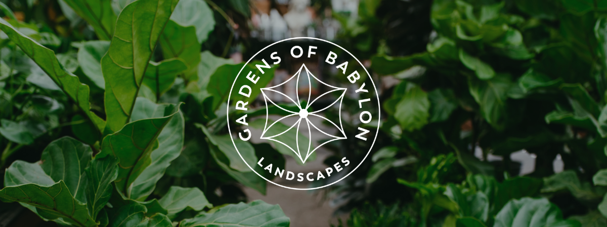 Gardens of Babylon, Upcoming Events | Lightning 100 - Event