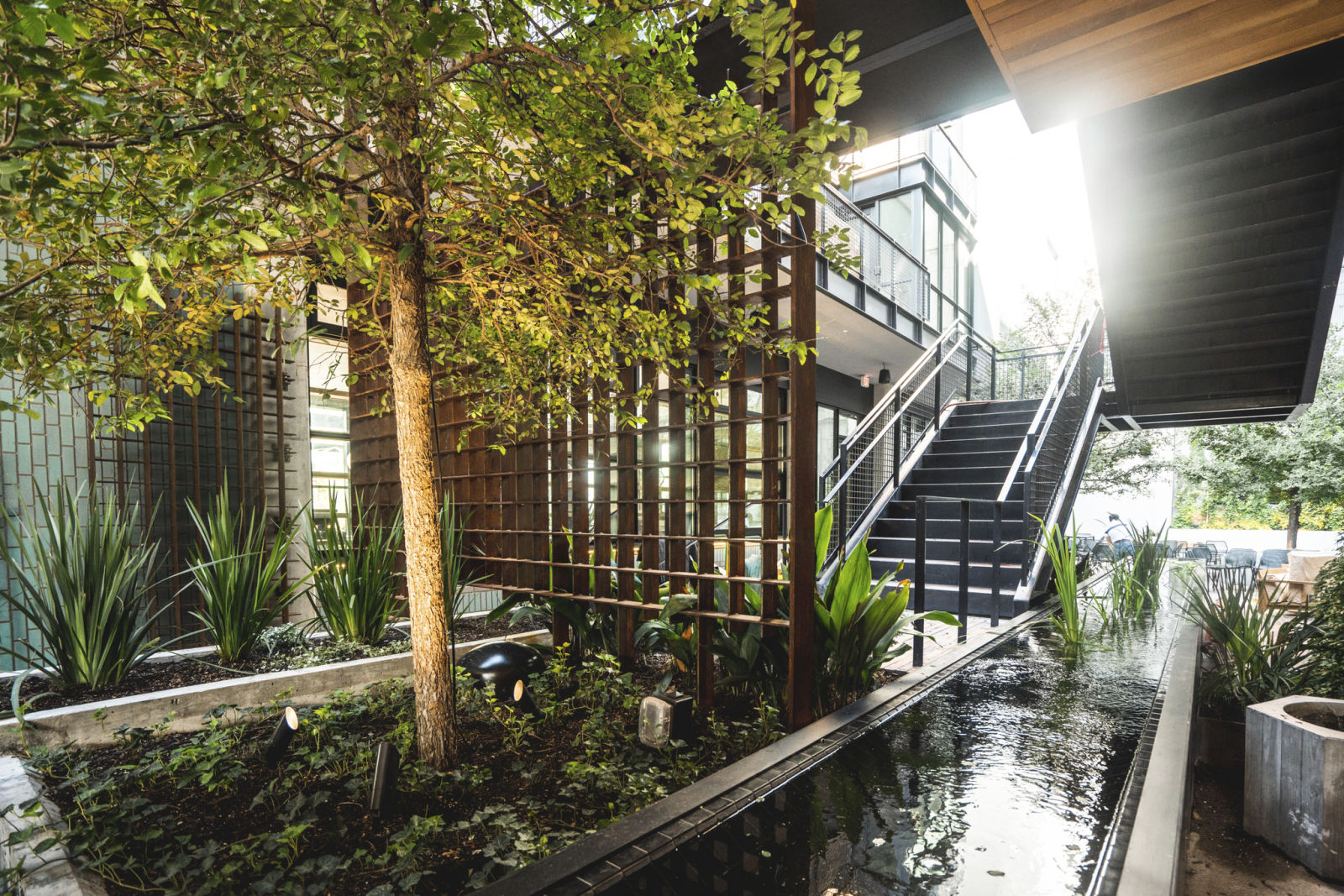 Canopy by Hilton Austin Downtown, Upcoming Events in Austin on