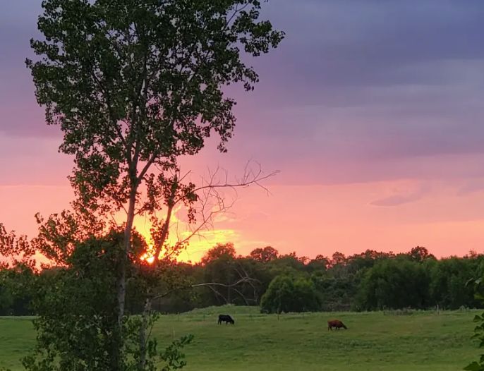 Texas Music River Ranch, Upcoming Events in Webberville on Do512