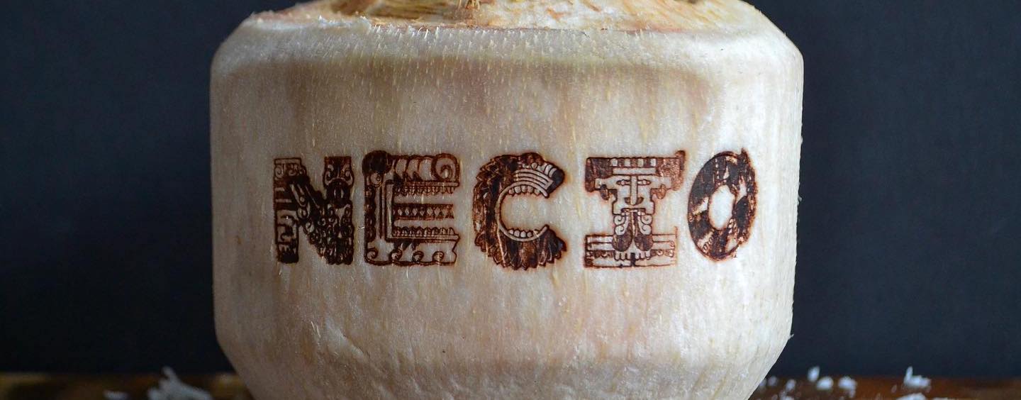 Necio Mexican Kitchen, Upcoming Events in Denver on Do303