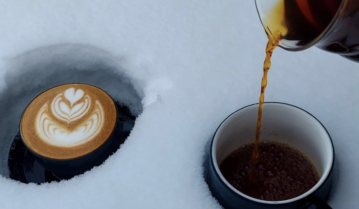 Devil's Cup Coffee, Upcoming Events in Denver on Do303