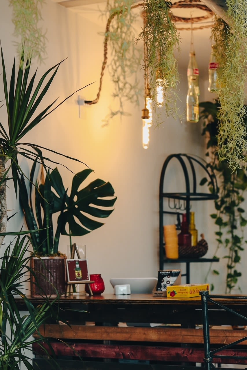 Crecer, Upcoming Events in Dallas on Do214